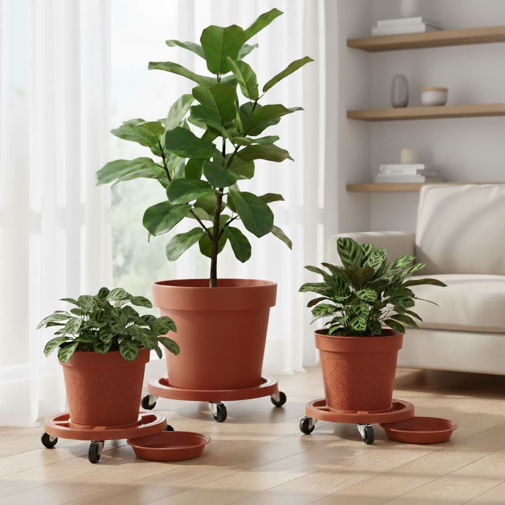 Materas, jardineras y bases para macetas ecológicas - Plantho – Plantho.co